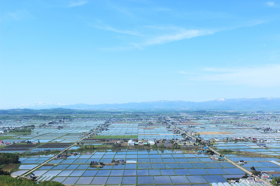Hokkaido ・东川镇接管了酒店！ 2026 | SAPPORO STREAM HOTEL [方程式]